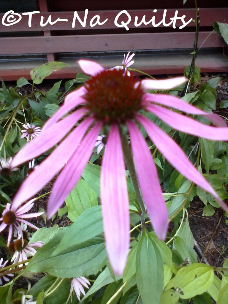 Tu-Na Quilts: Presenting Anne’s Flower | Tu-Na Quilts, Travels, and Eats